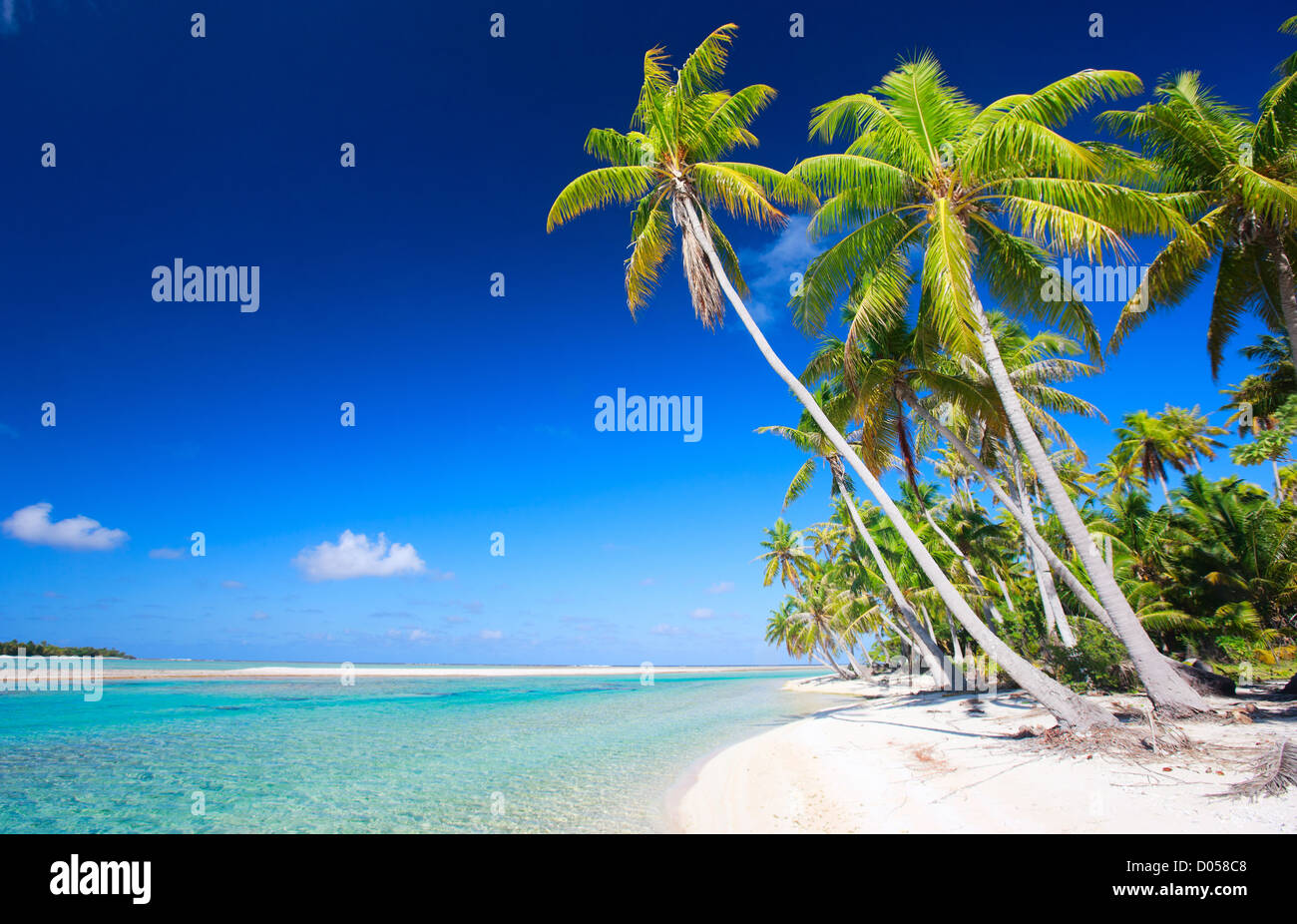 Perfect tropical beach Stock Photo - Alamy