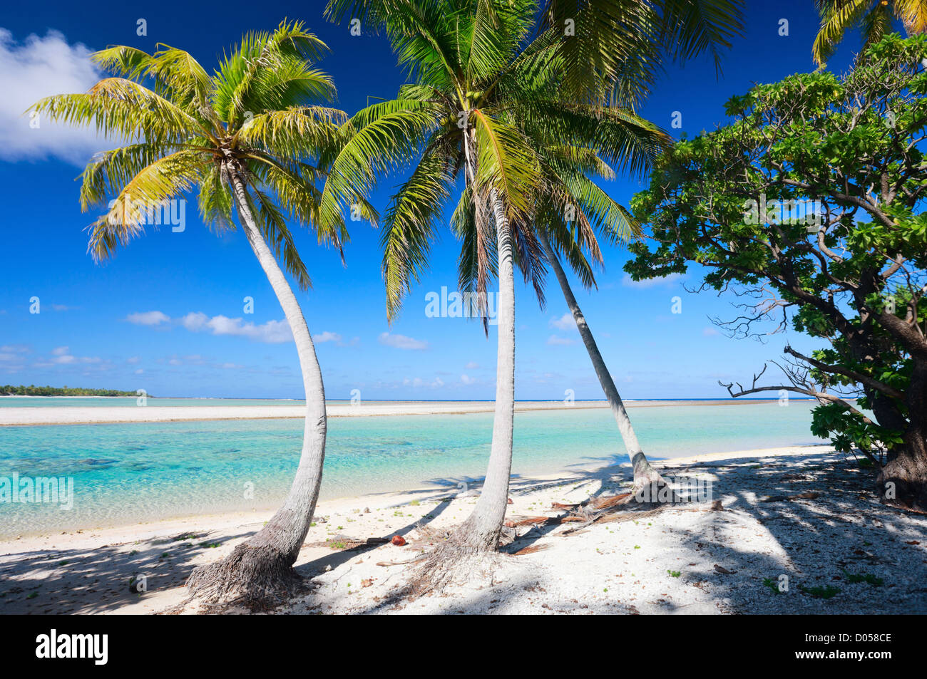 Perfect tropical beach Stock Photo - Alamy