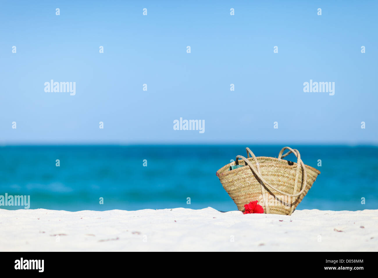 Beach straw flower hi-res stock photography and images - Alamy
