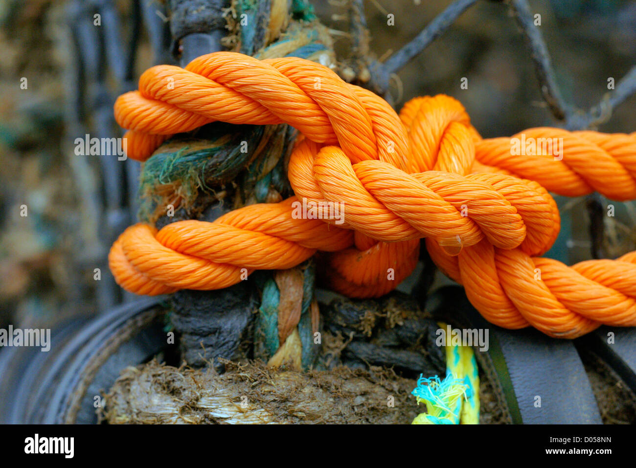 Granny knot hi-res stock photography and images - Alamy