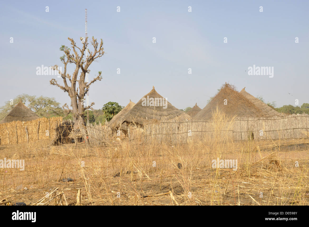 Homes in village in gambia hi-res stock photography and images - Alamy