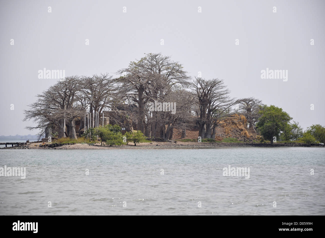 Slave islandKunta Kinte Island in The Gambia Stock Photo - Alamy
