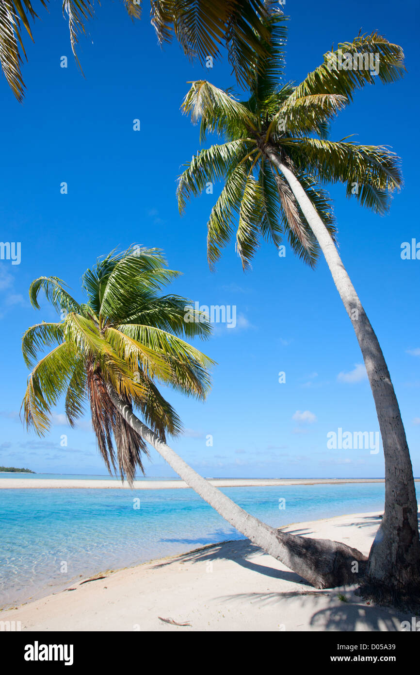 Beautiful tropical island tikehau hi-res stock photography and images ...