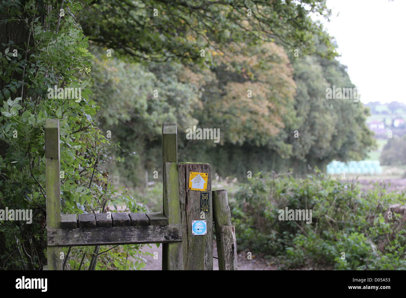 Public footpath with steps and tree hedge Stock Photo - Alamy