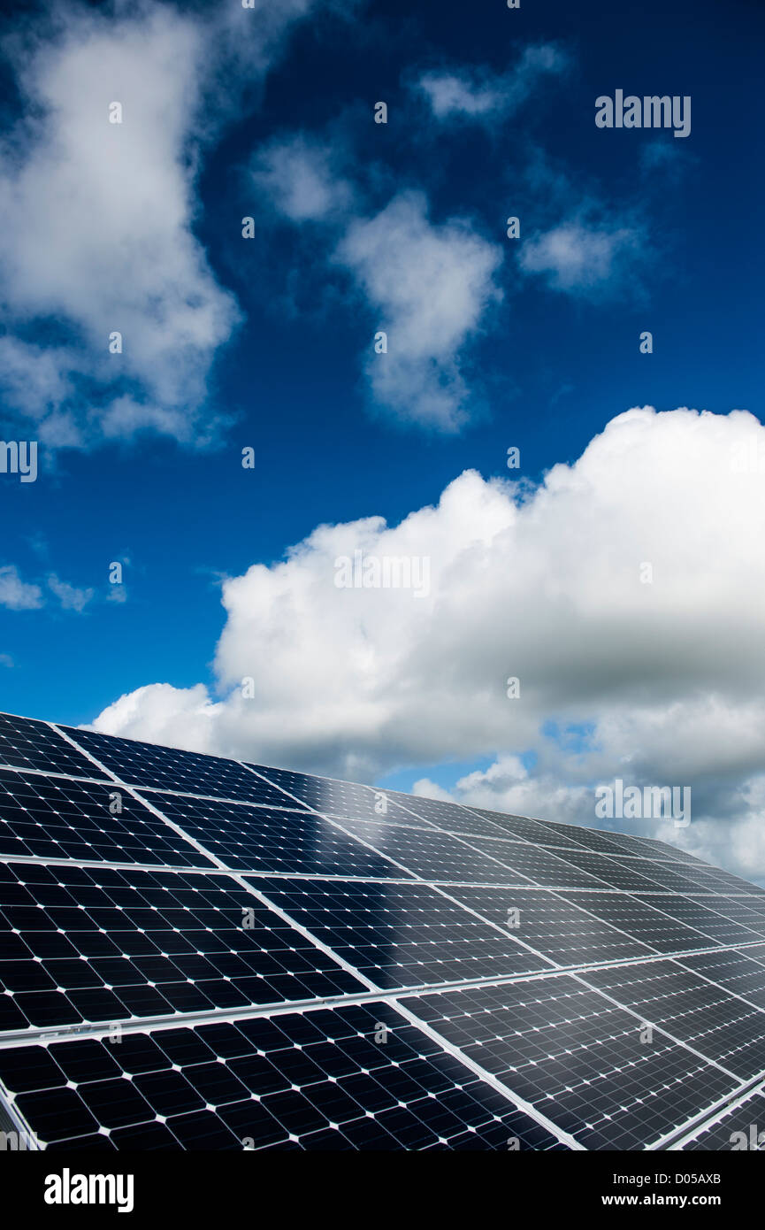Green renewable energy: An array of solar panels converting sunshine ...
