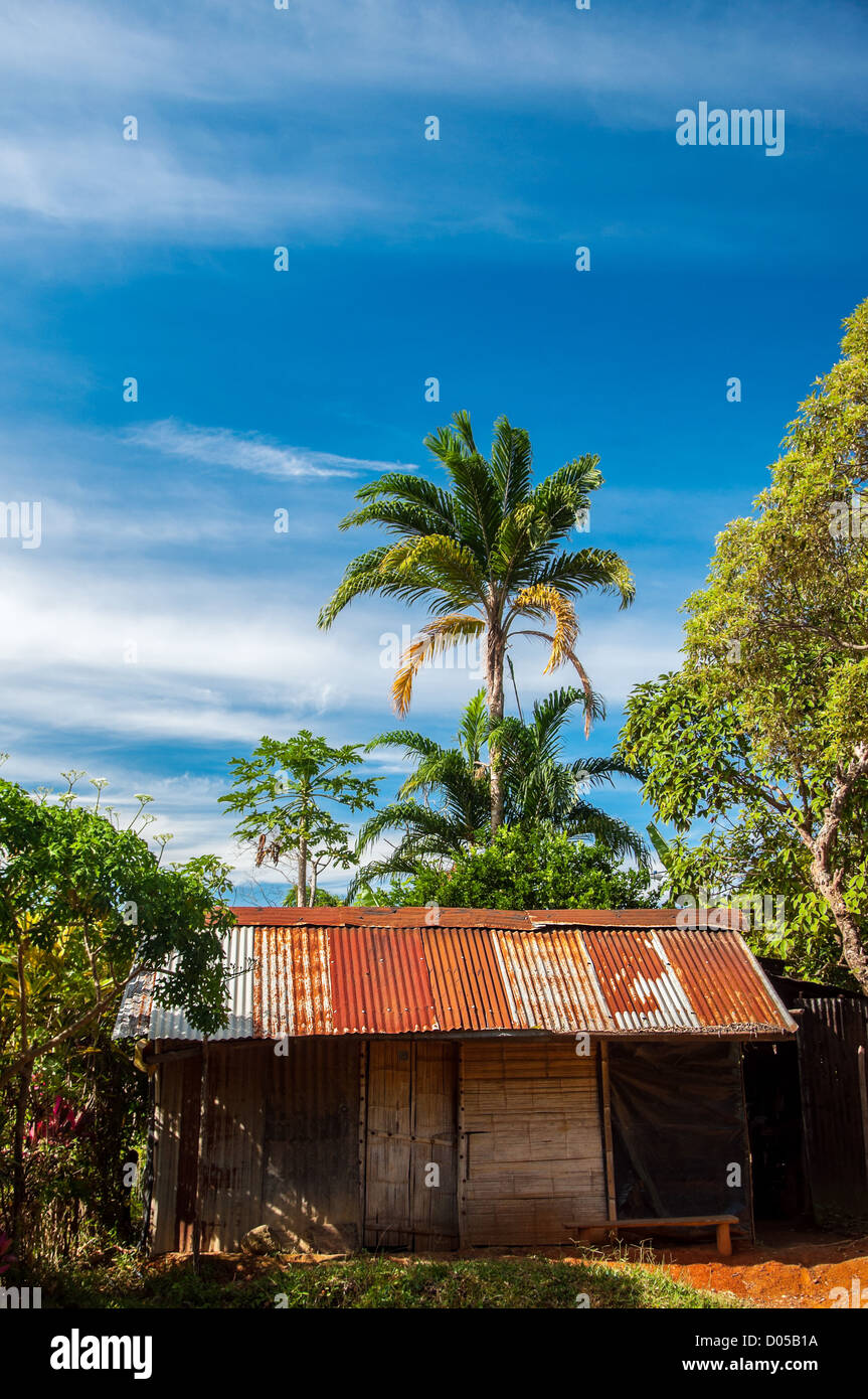 An old shack in the jungle Stock Photo - Alamy