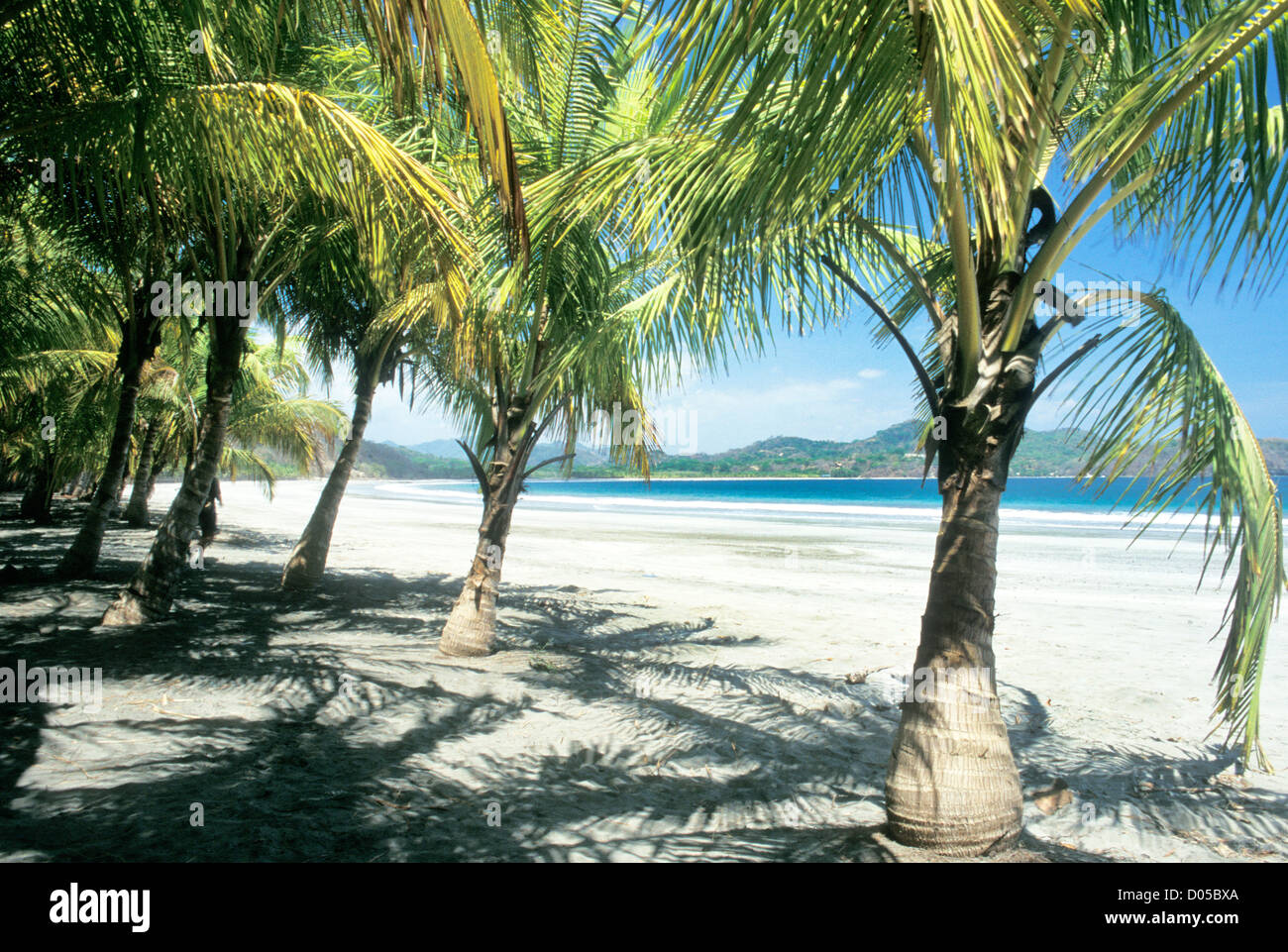 Beach, Playa Carrillo, Guanacaste, Costa Rica Stock Photo - Alamy