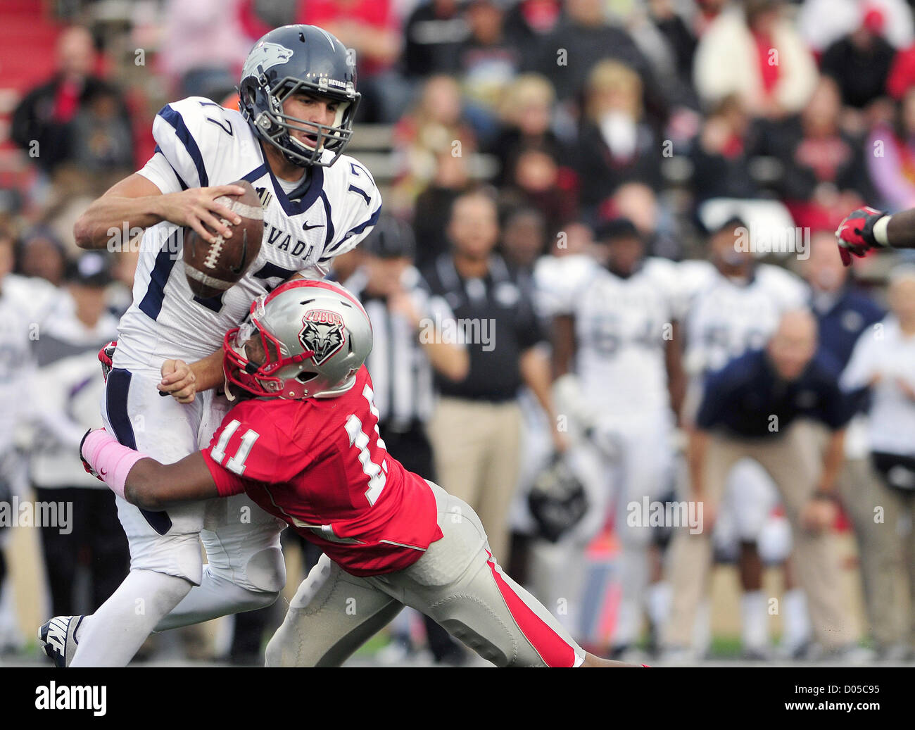 Nov. 17, 2012 - Albuquerque, NEW MEXICO, U.S. - Roberto E. Rosales.Lobo ...