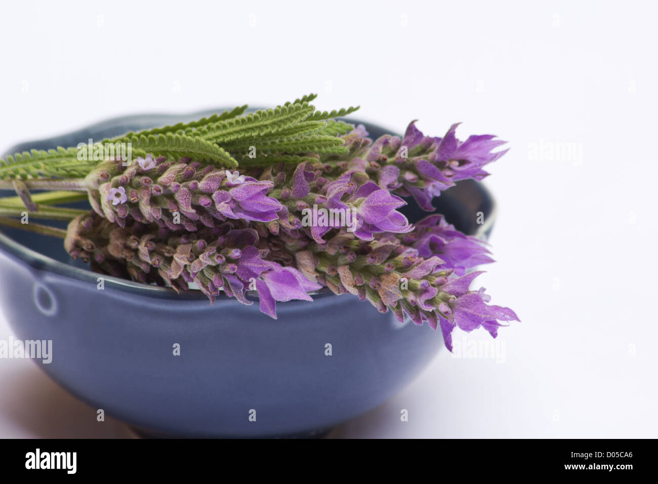 Laid bunch of flowers hi-res stock photography and images - Alamy