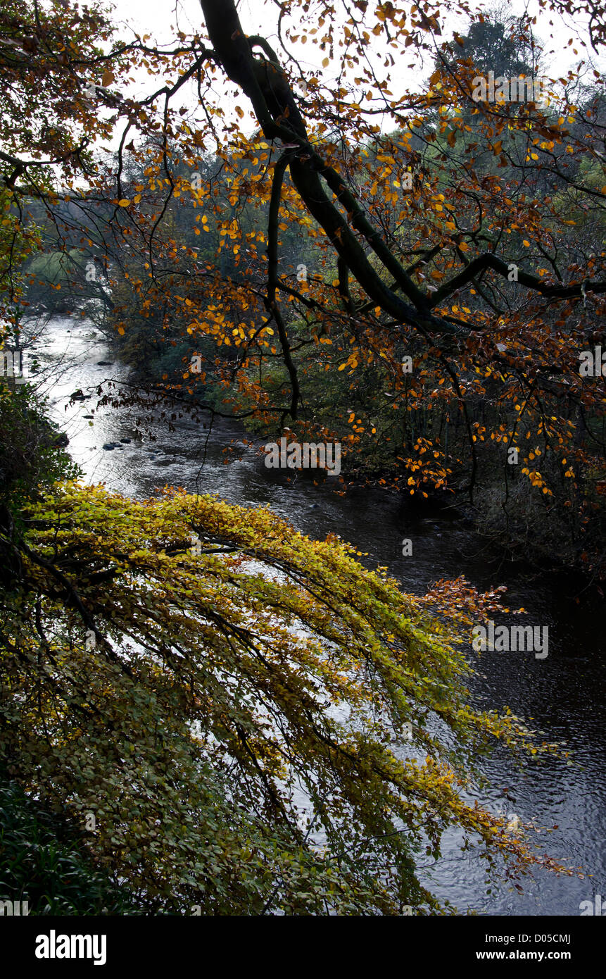 The River Almond near Cramond, Edinburgh, Scotland Stock Photo - Alamy