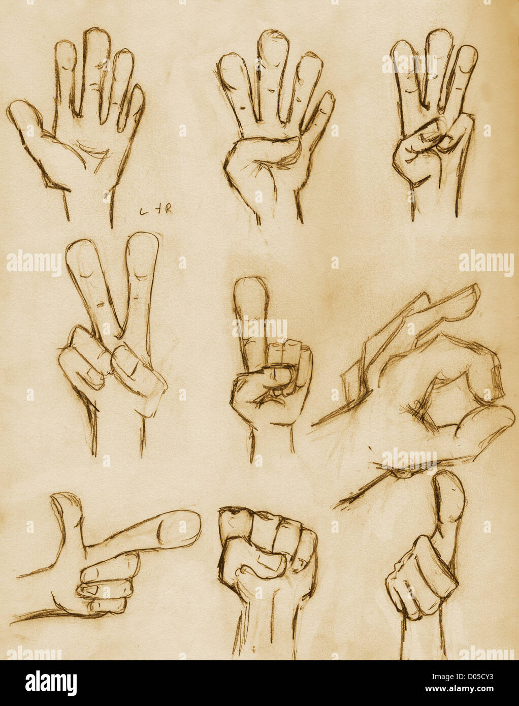 Sketched hands hi-res stock photography and images - Alamy