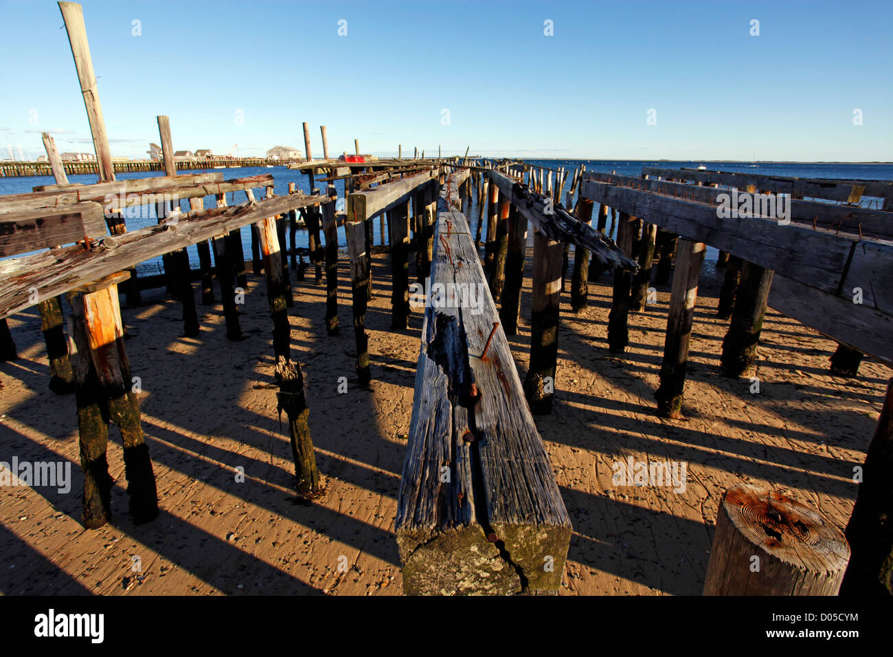 Old wooden pilings on the beach, Provincetown, Cape Cod, Massachusetts ...
