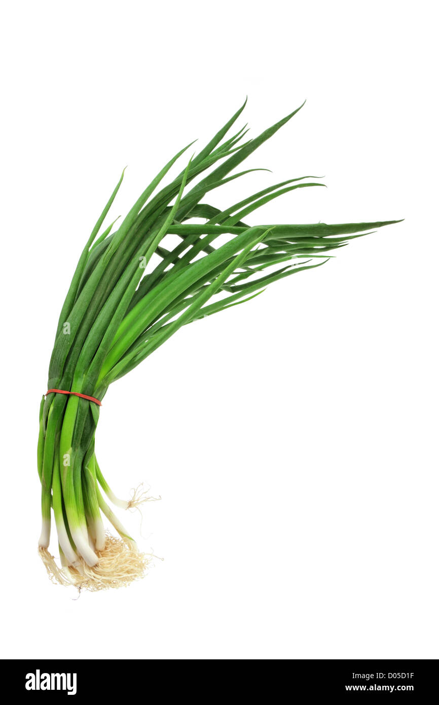 Shallots and scallions hi-res stock photography and images - Alamy