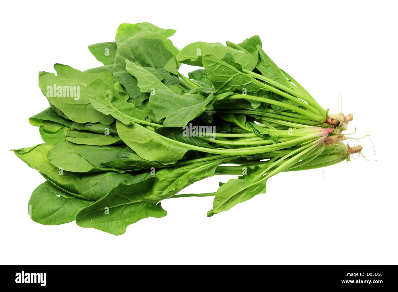Spinach root hi-res stock photography and images - Alamy