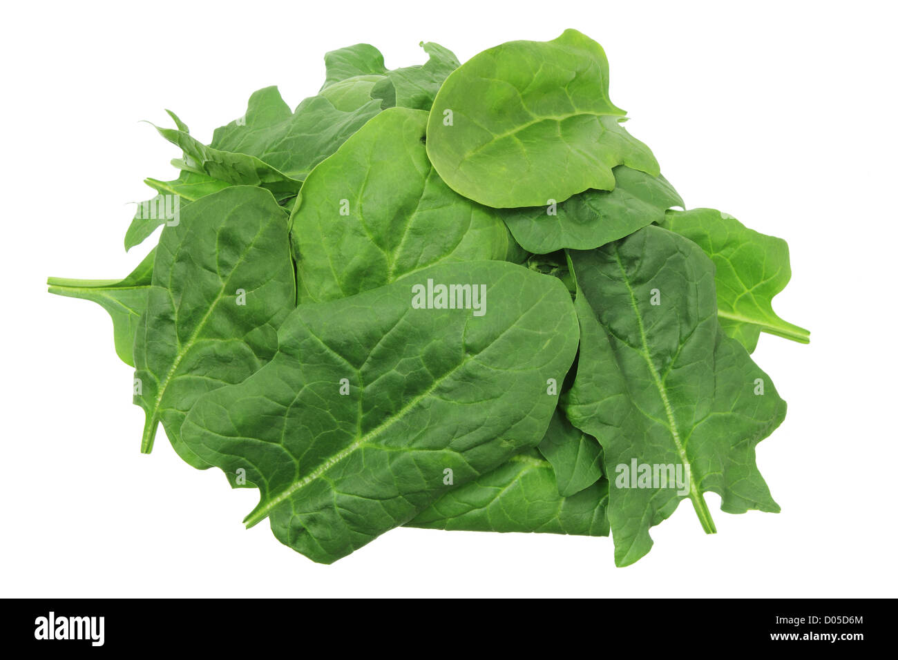 Spinach cut out hi-res stock photography and images - Alamy