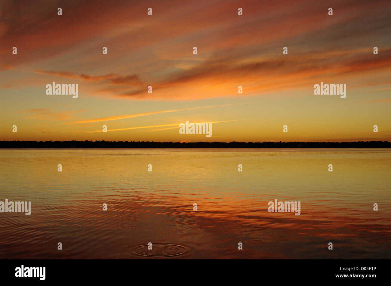 Florida Elevation Sea Level