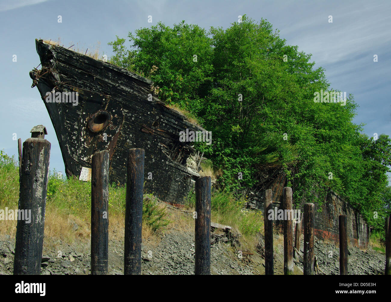 The derelict hull of the schooner La Merced is used as a breakwater to ...