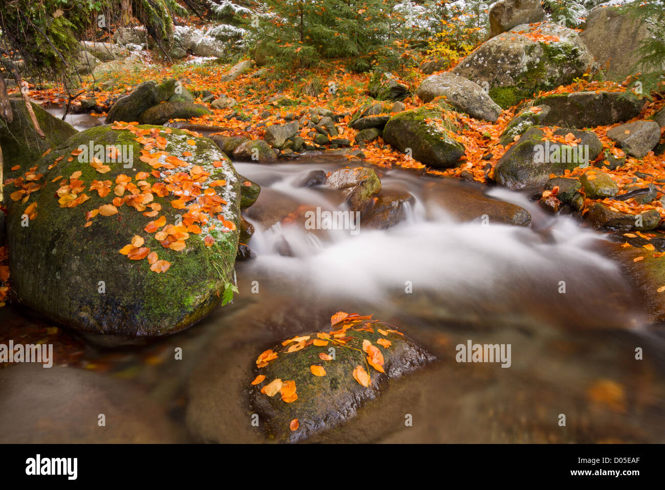 Mountain stream in autumn Stock Photo - Alamy