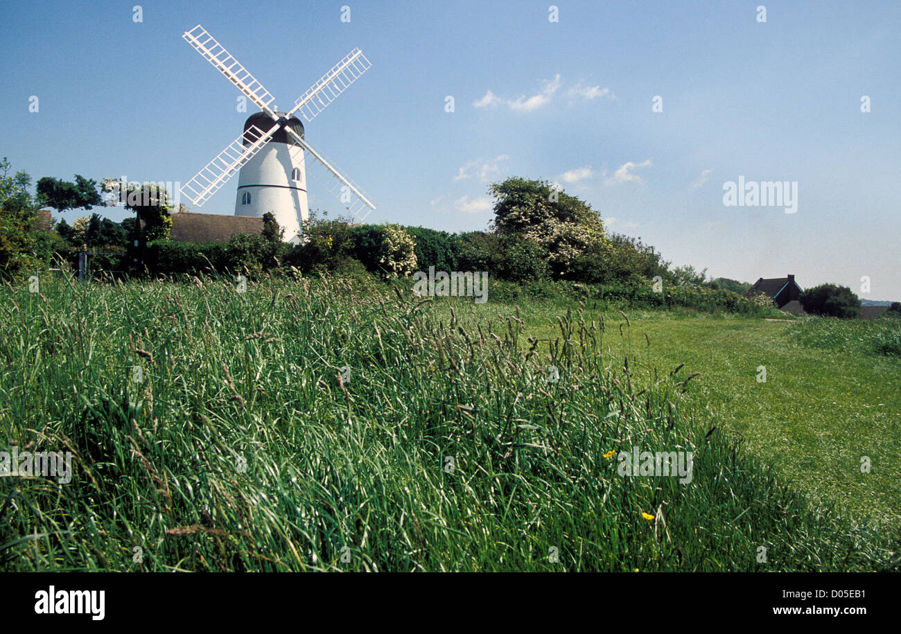 Waterhall Mill, Patcham, Mill Hill, Brighton, Sussex Stock Photo - Alamy