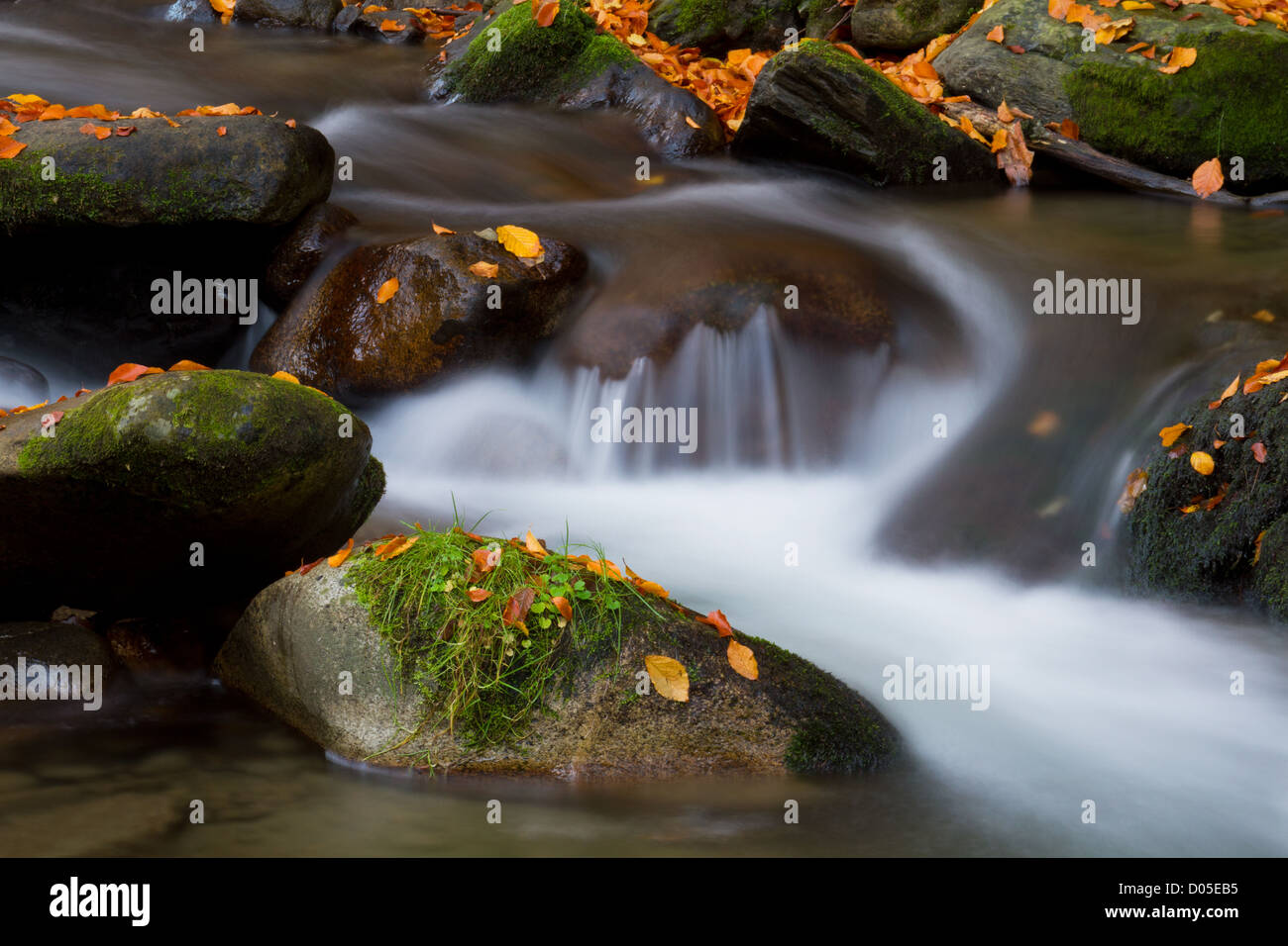 Calming detail hi-res stock photography and images - Alamy