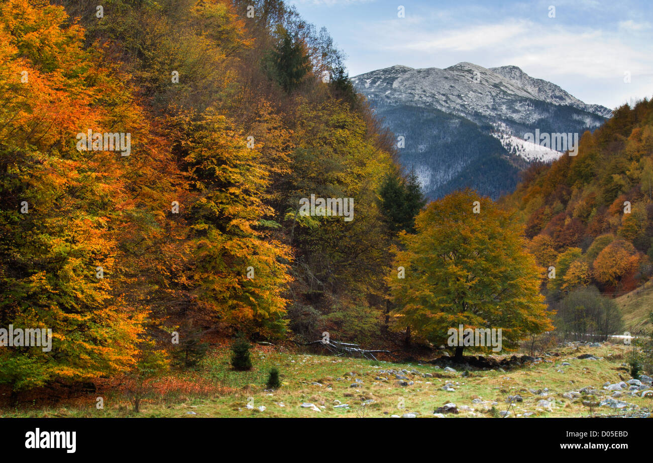 Autumn vs winter Stock Photo - Alamy