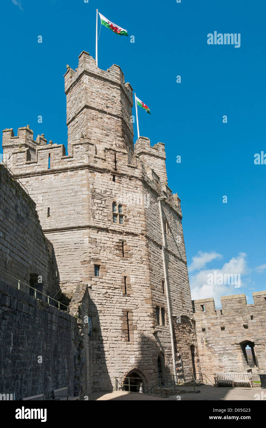 Welsh flags atop caernarfon castle hi-res stock photography and images ...