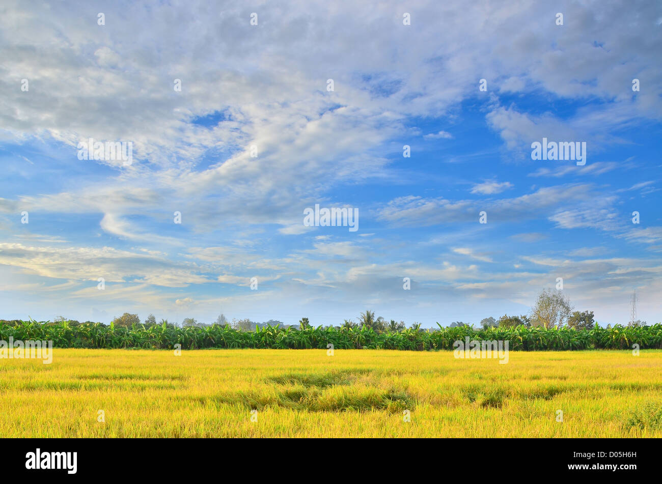 Field and sky Stock Photo - Alamy