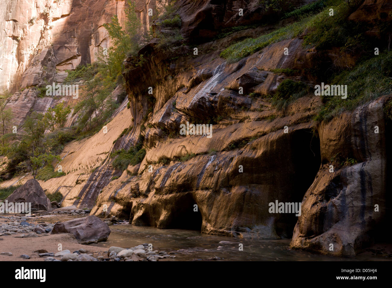 The Narrows, canyon on the North Fork Virgin River, Zion Canyon ...