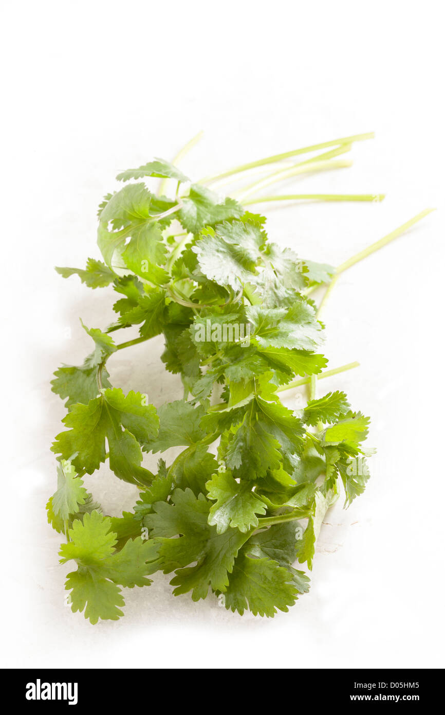 Coriander cut out hi-res stock photography and images - Alamy