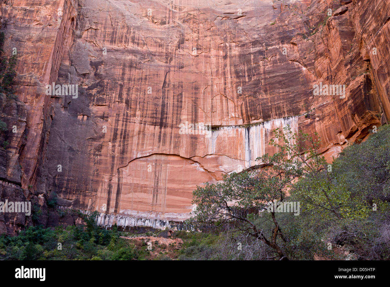 Canyon walls hi-res stock photography and images - Alamy