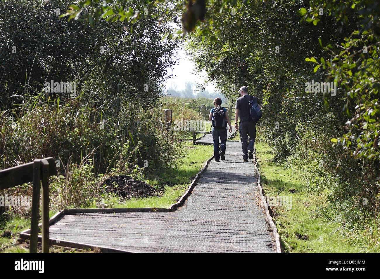 RSPB nature reserve, Greylake, Somerset, England, UK Stock Photo - Alamy