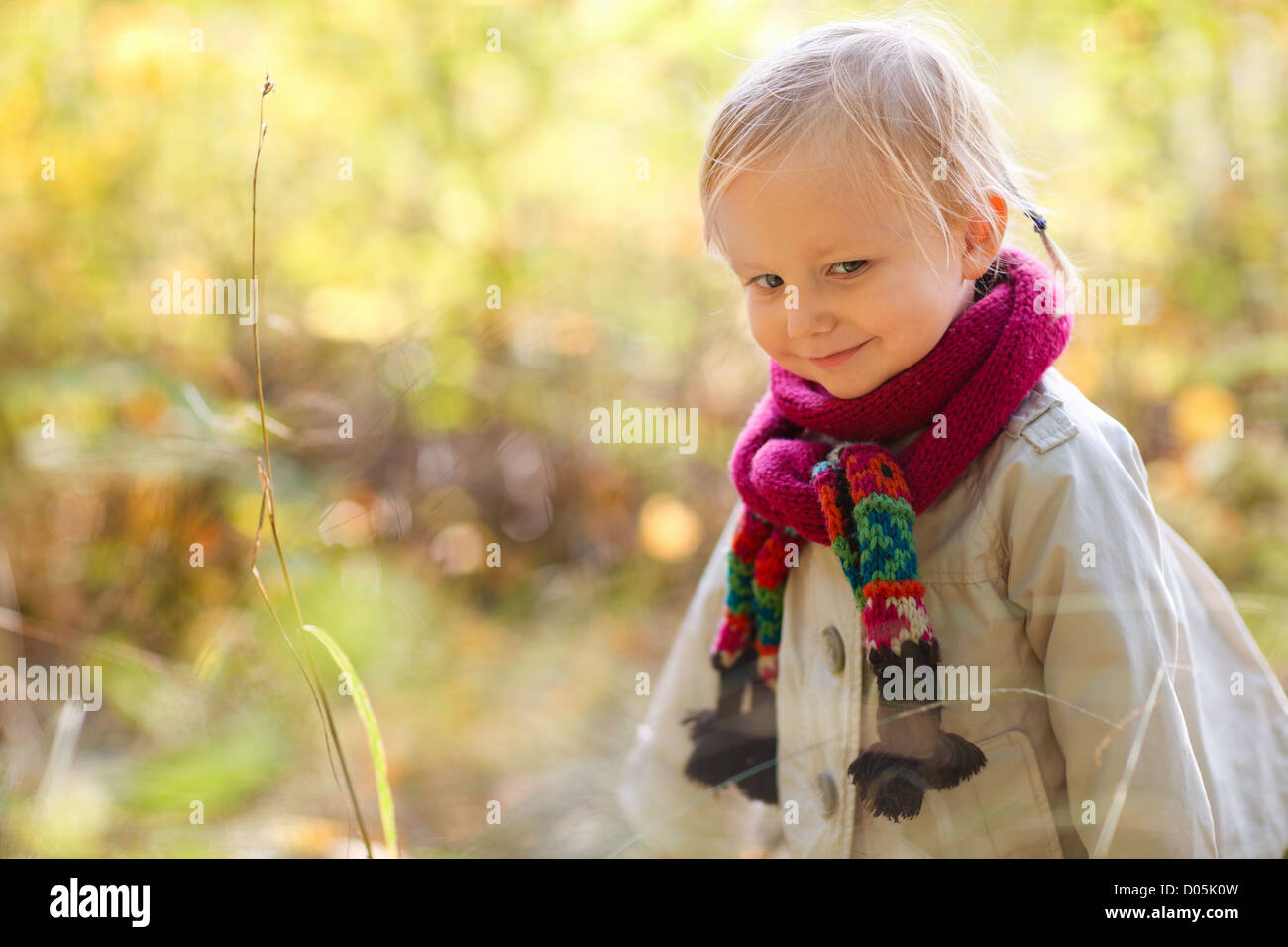 Toddler girl at autumn forest Stock Photo - Alamy