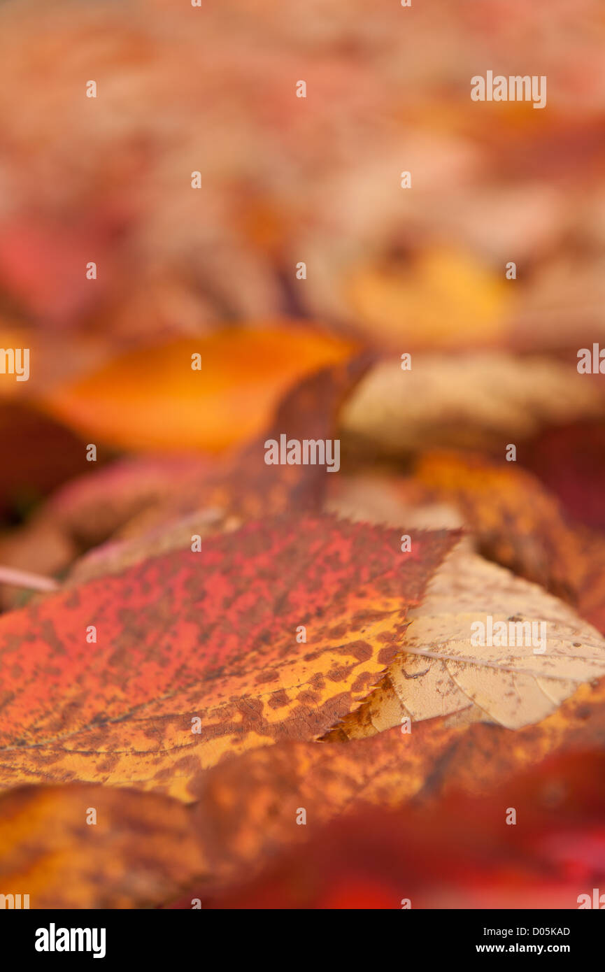 Fading yellow line hi-res stock photography and images - Alamy