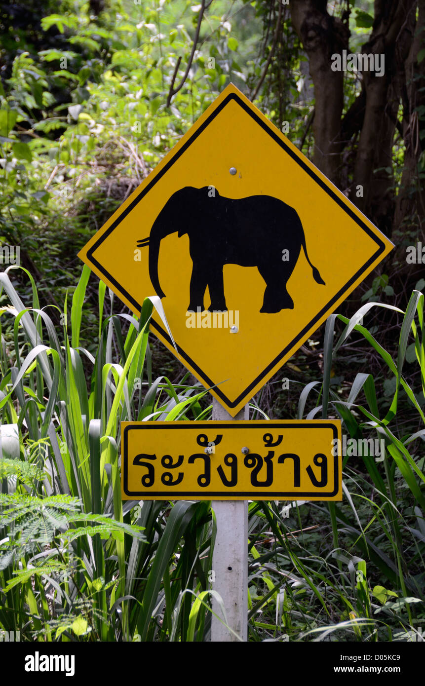 Road Sign Beware Of Elephants High Resolution Stock Photography and ...