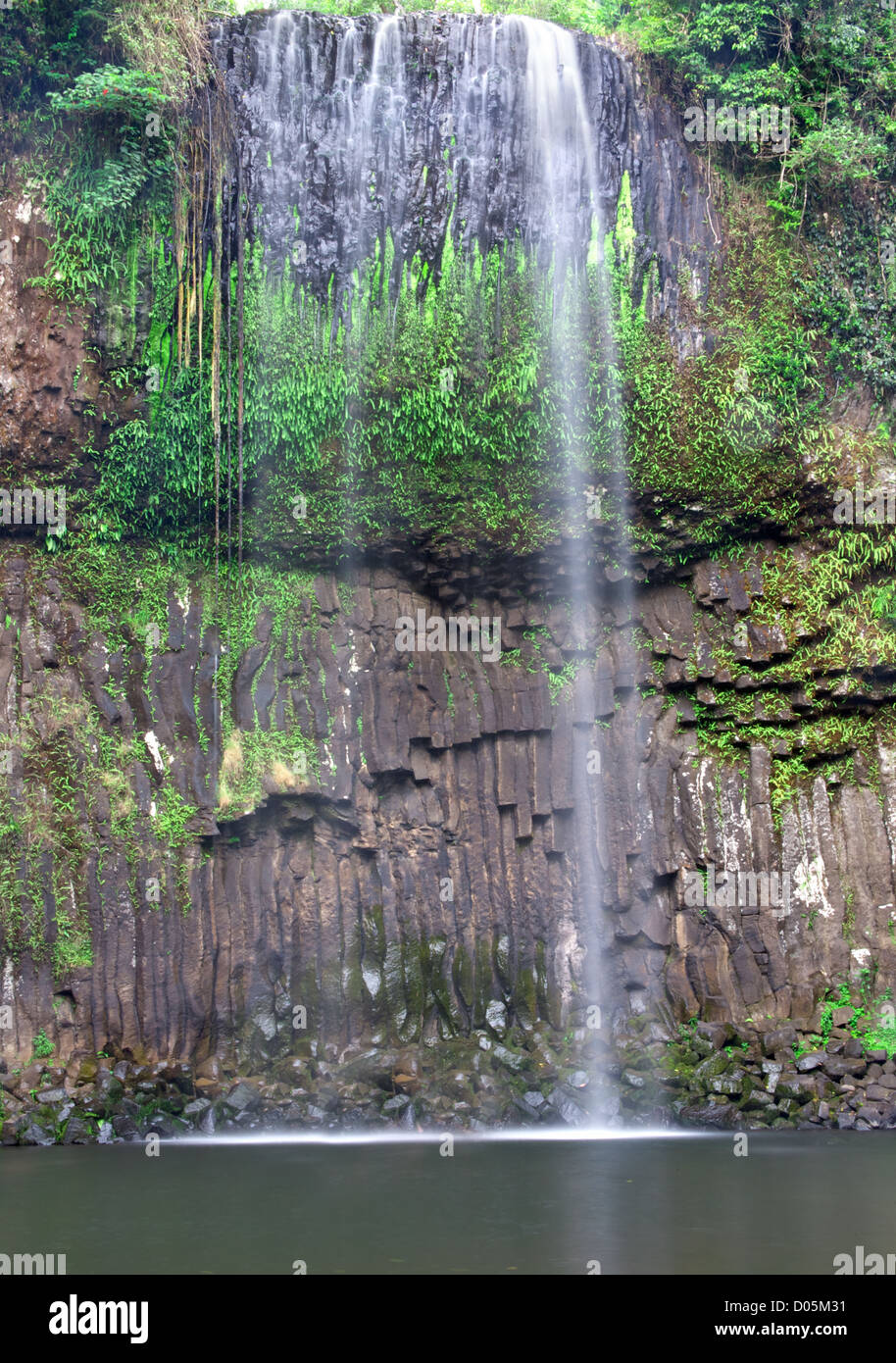 Milaa Milaa Falls during a lull in the wet season Stock Photo - Alamy