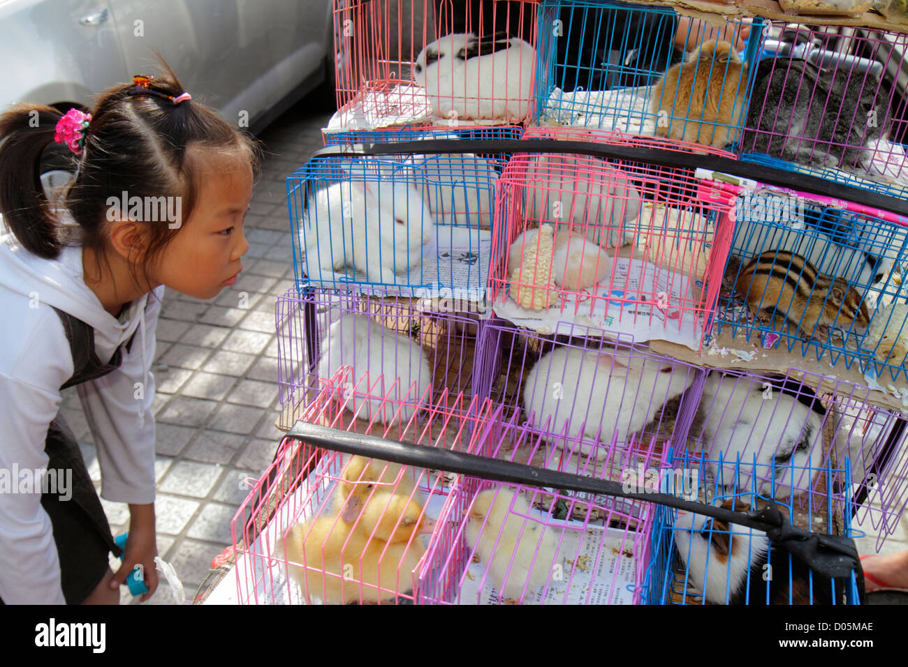 Chipmunk and girl hi-res stock photography and images - Alamy