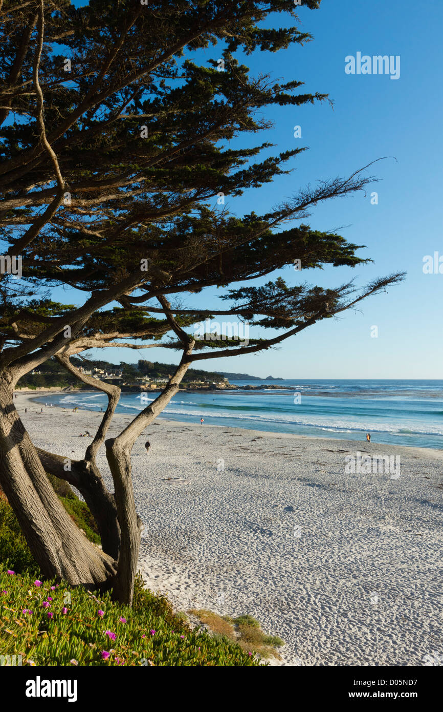 Carmel by the sea hi-res stock photography and images - Alamy