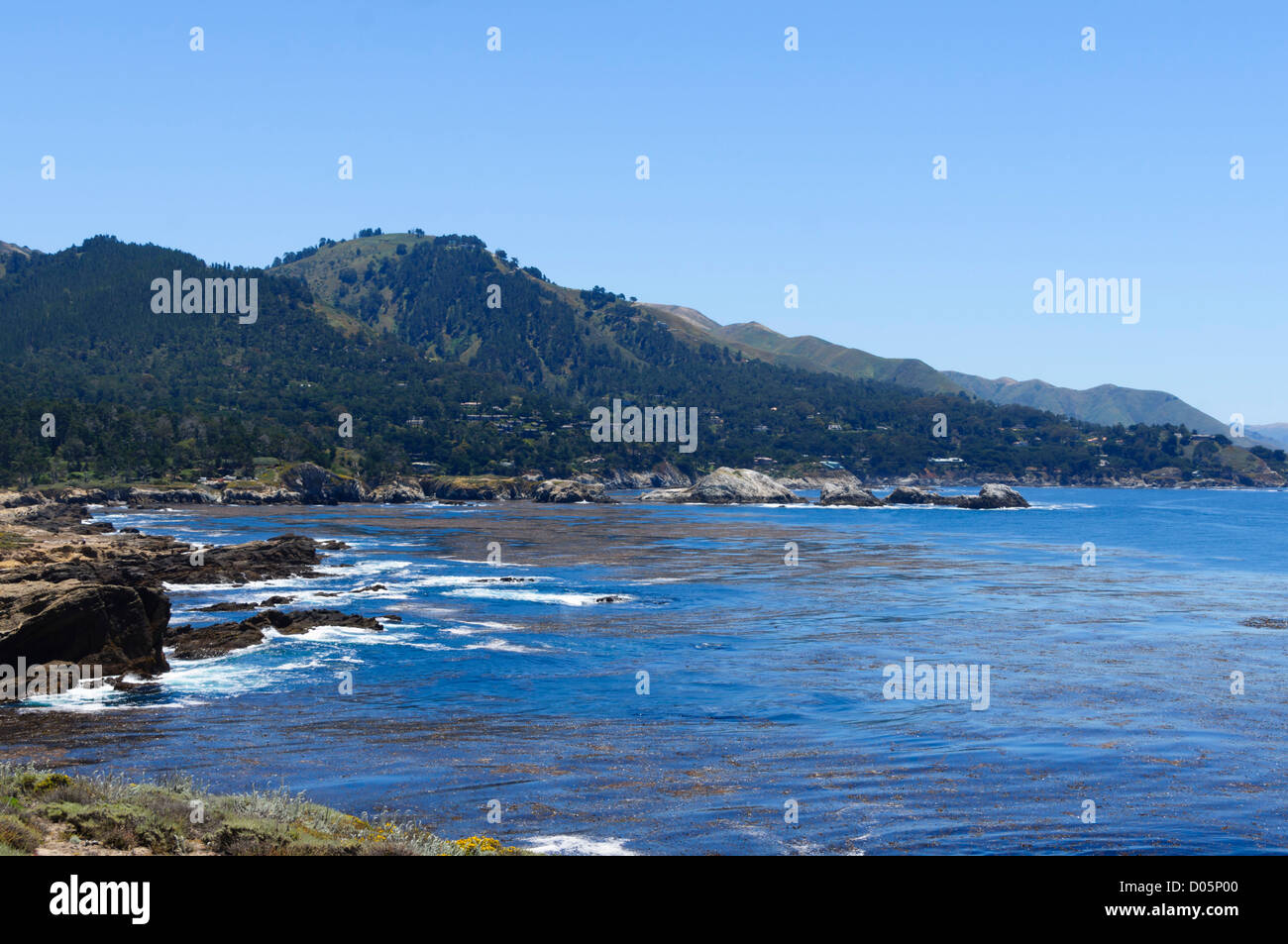 Point Lobos, California, nature reserve and scenic headland Stock Photo ...