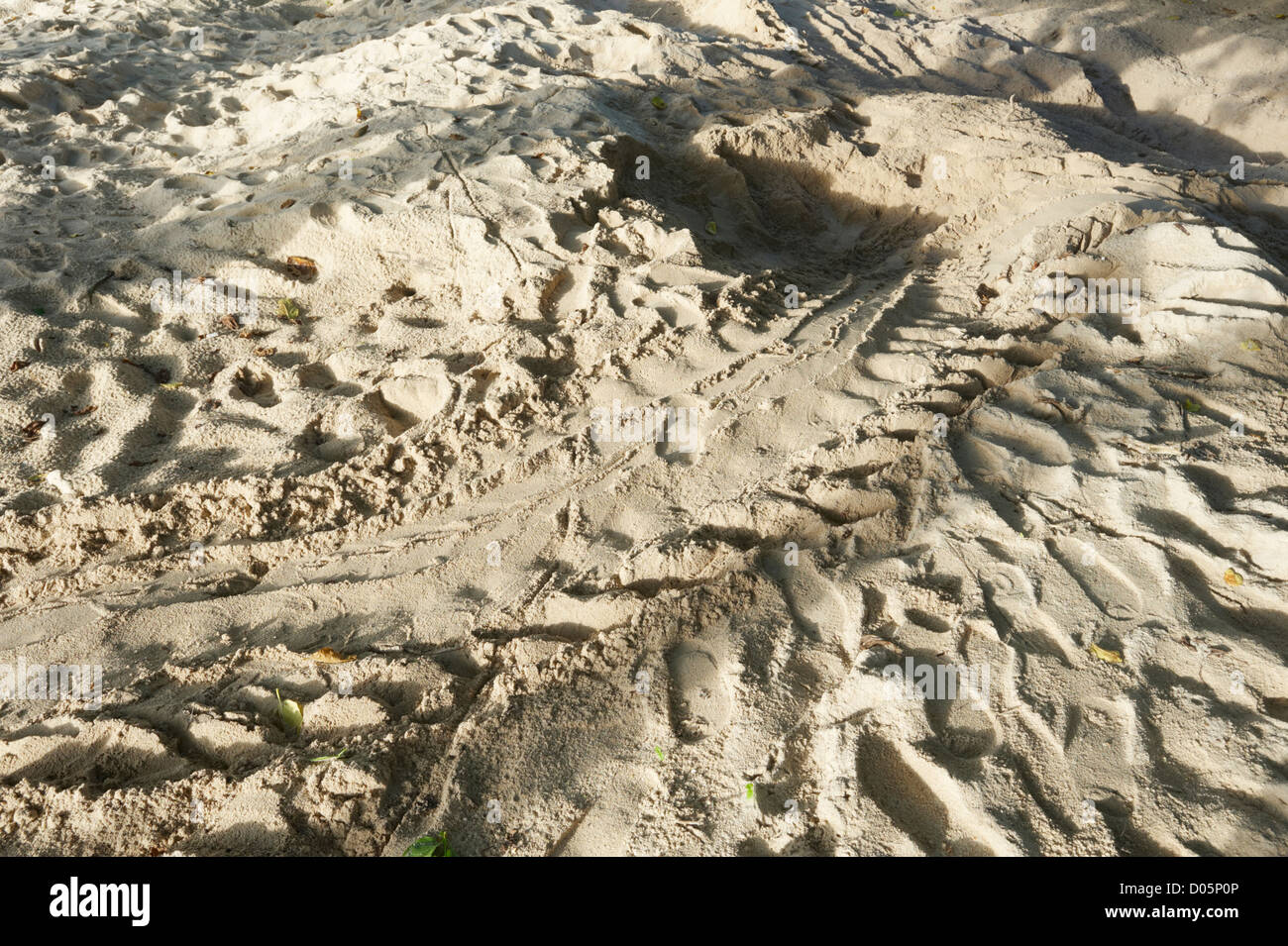 Turtles tracks in sand on Selingan Island, Turtle Islands Park, Sabah ...
