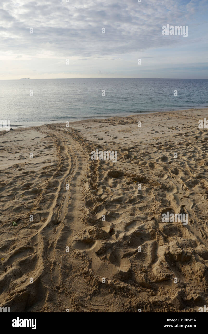 Turtles tracks in sand on Selingan Island, Turtle Islands Park, Sabah ...