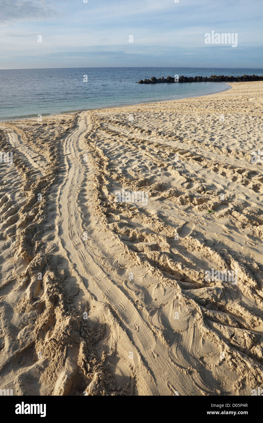 Turtles tracks in sand on Selingan Island, Turtle Islands Park, Sabah ...