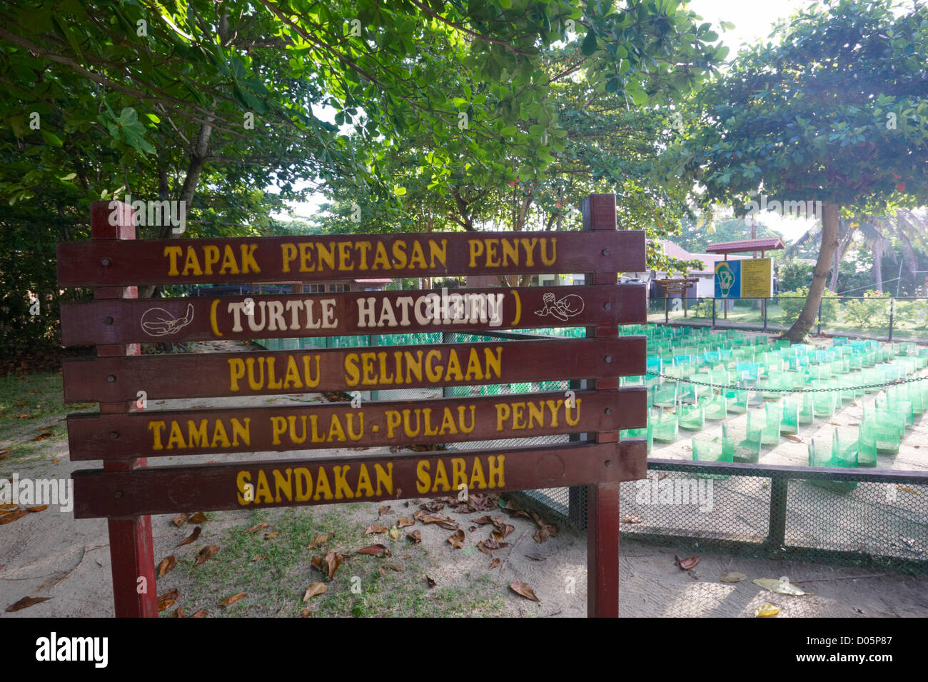 Turtle hatchery on Selingan Island, Turtle Islands Park, Sabah, Borneo ...