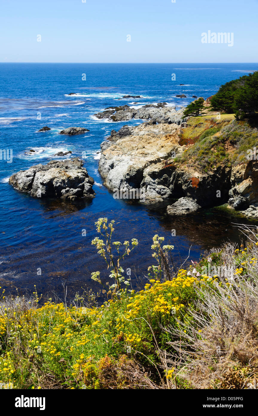 Garropotos Cove, off Cabrillo Highway route 1 ocean drive west coast ...