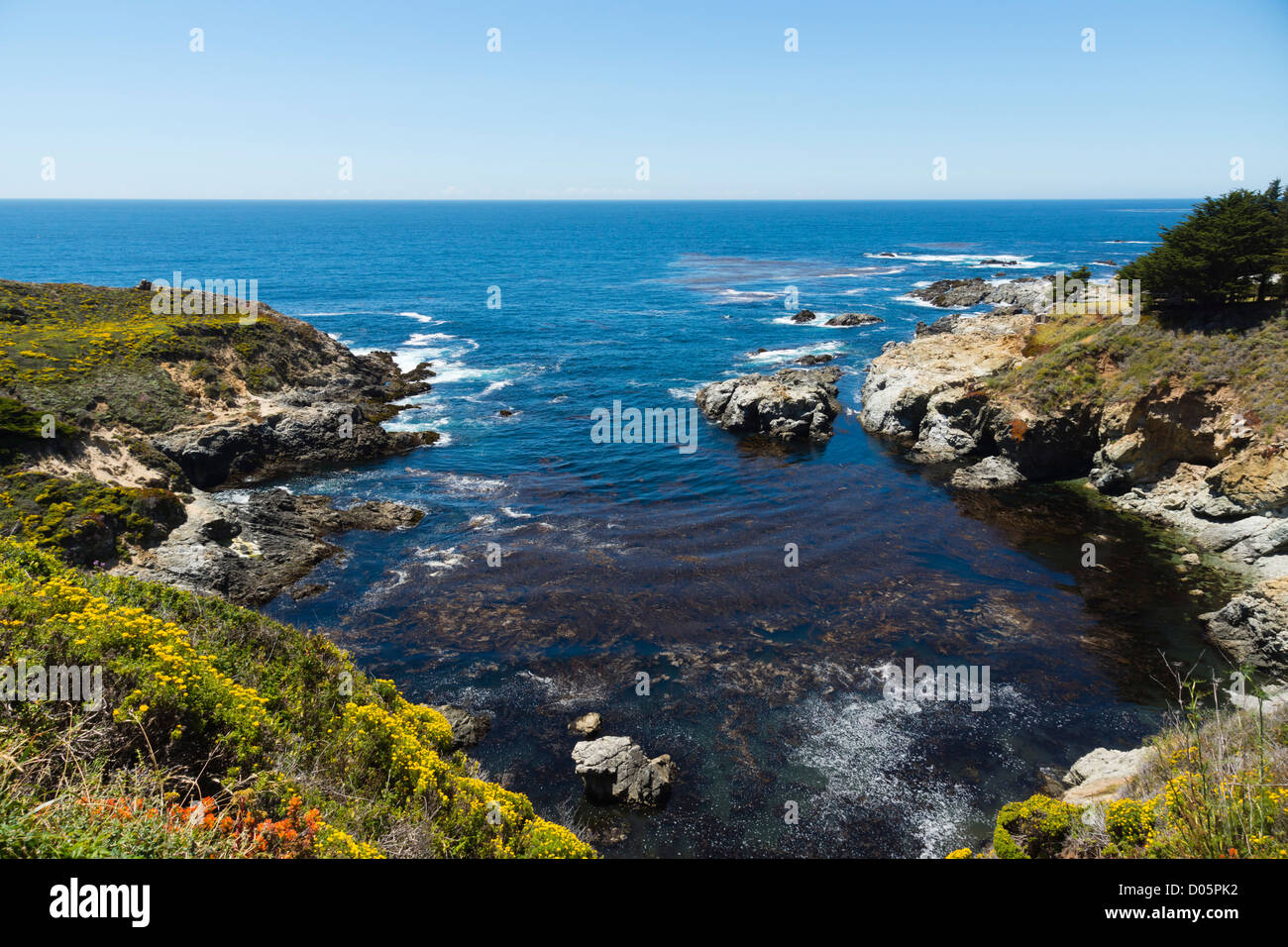 Garropotos Cove, off Cabrillo Highway route 1 ocean drive west coast ...