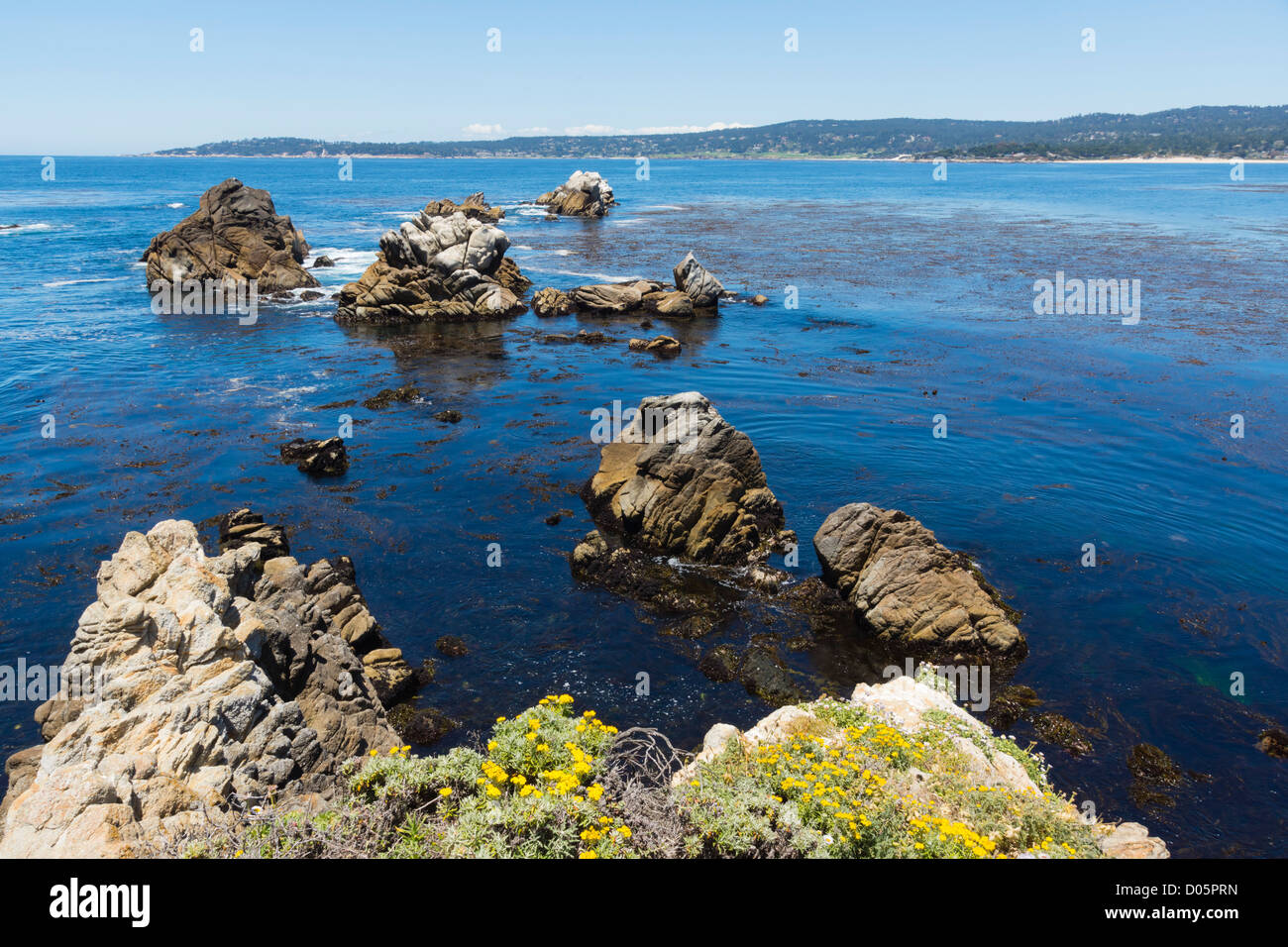 Point Lobos National Park – Point Lobos Montréal – IRMT