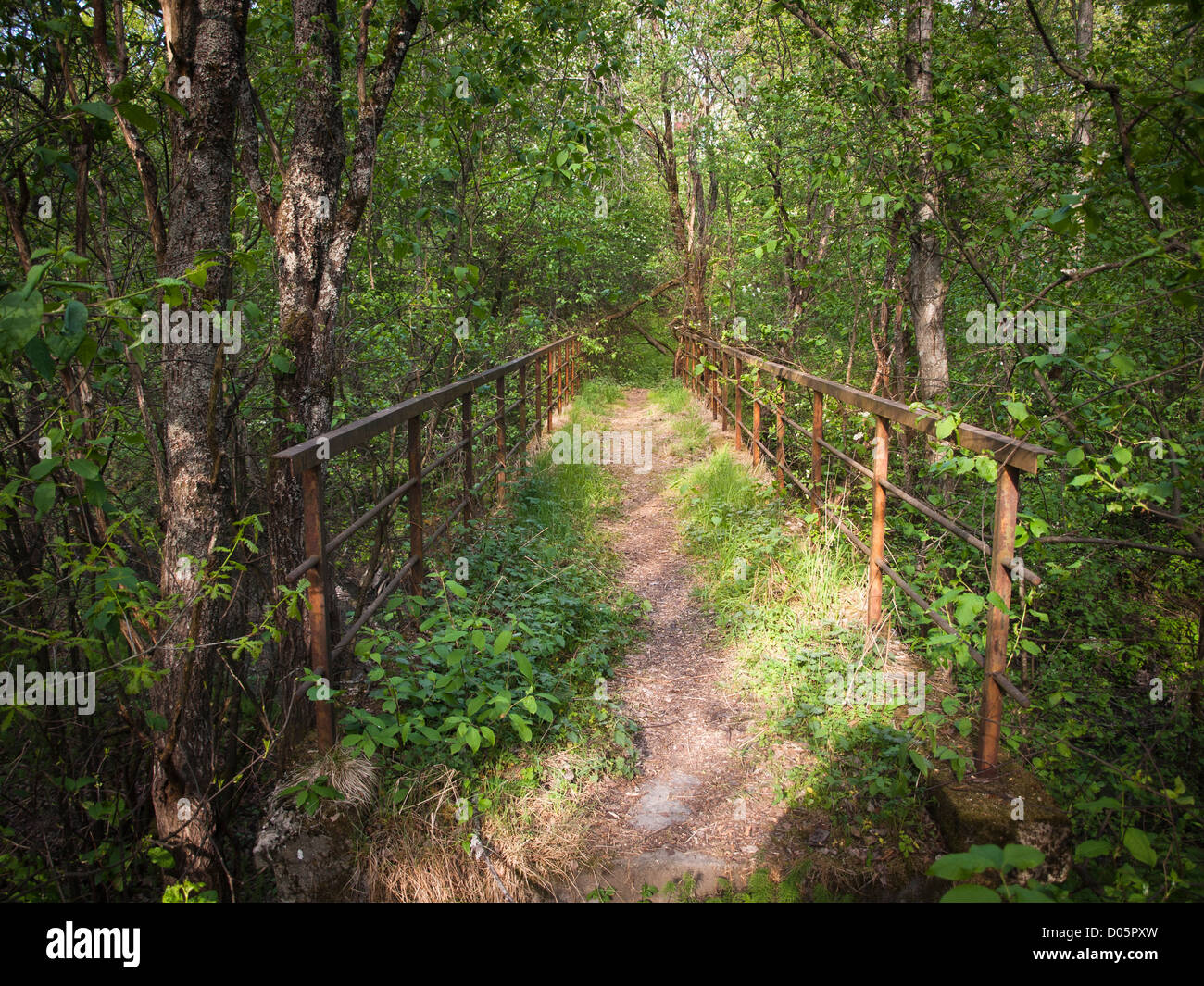 Overgrown footbridge hi-res stock photography and images - Alamy