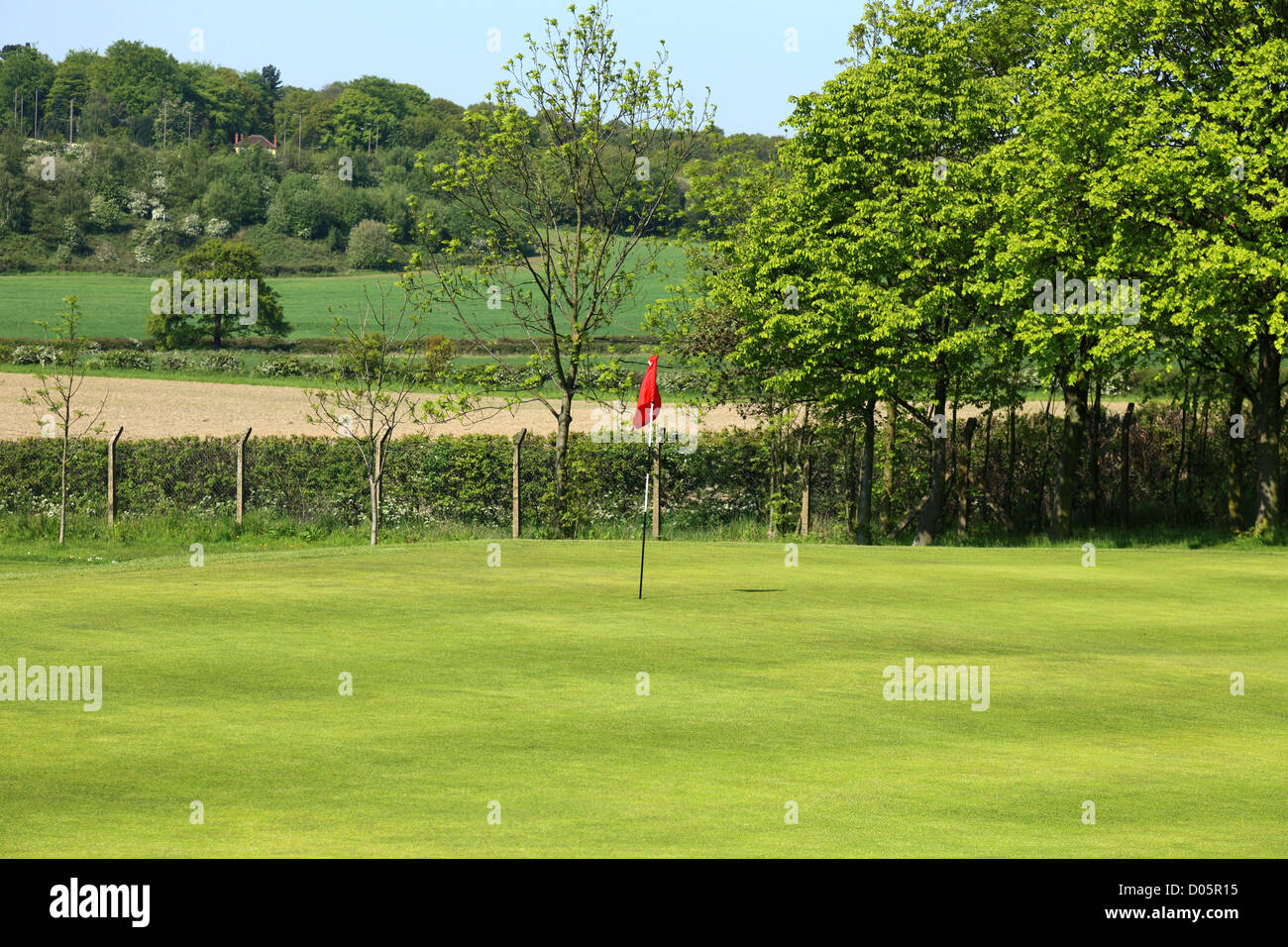 Red flag on a golf field Stock Photo - Alamy