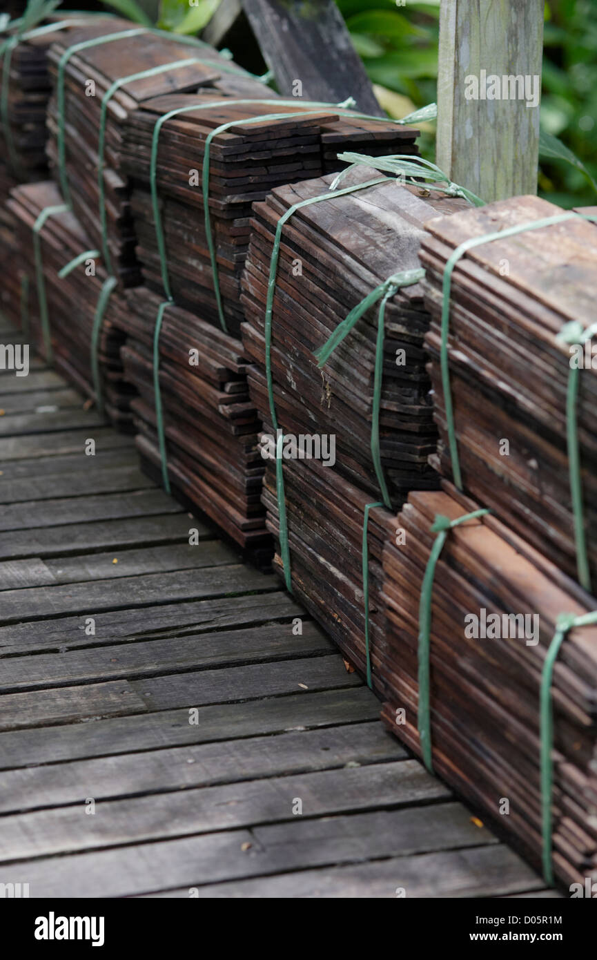 Borneo garden hi-res stock photography and images - Alamy