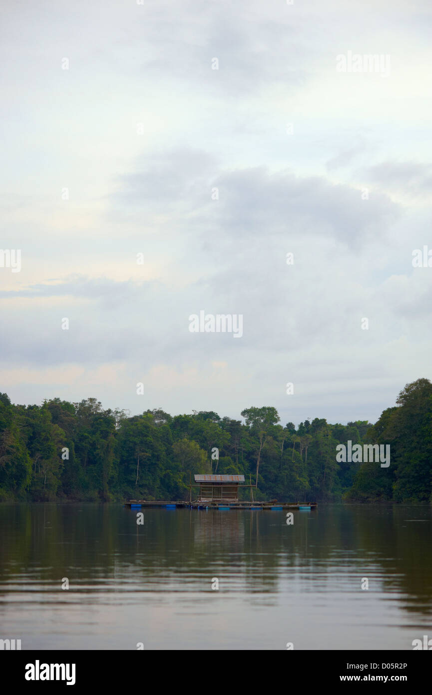 Platform with hut on Kinabatangan River, Sabah, Borneo Stock Photo - Alamy