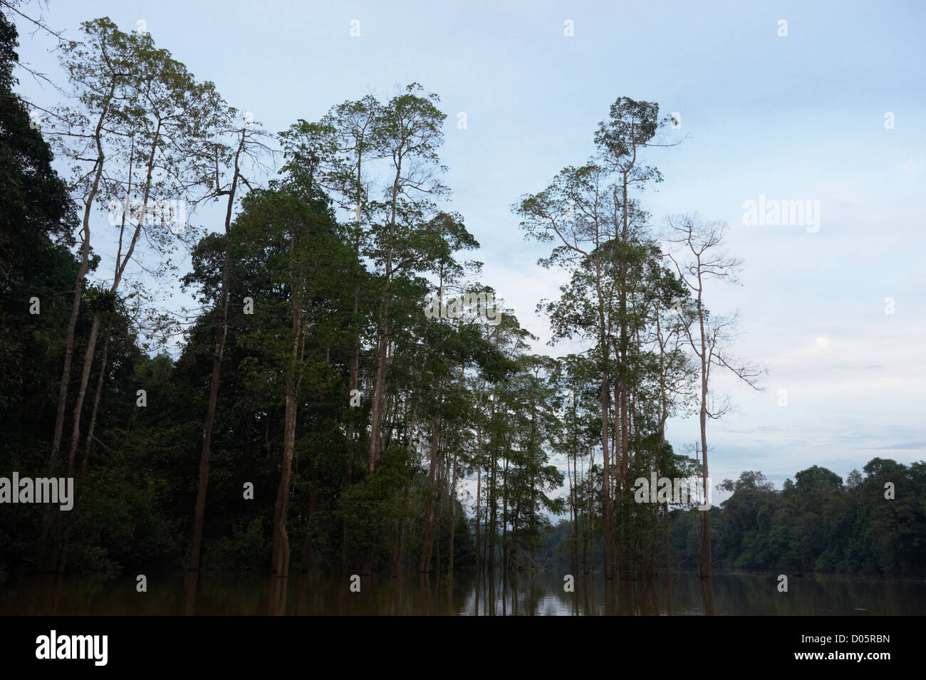 Kinabatangan River, Sabah, Borneo Stock Photo - Alamy